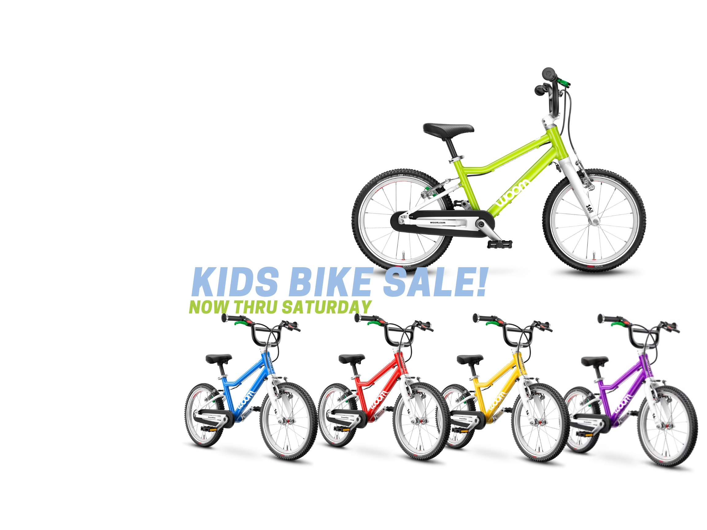 Blue and Red Campaign Yard Signs - Lititz Bikeworks