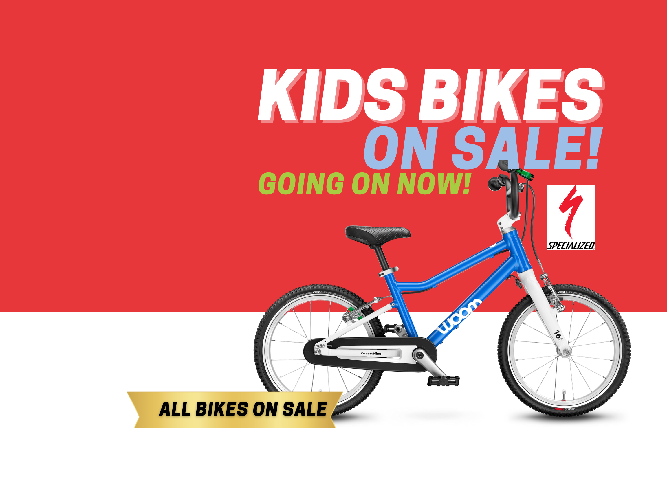 Blue and Red Campaign Yard Signs(1) - Lititz Bikeworks